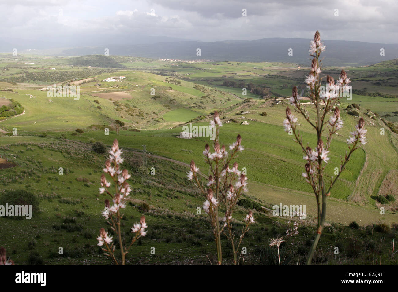 Landscape in the hills of Sardinia island, Italy Stock Photo - Alamy