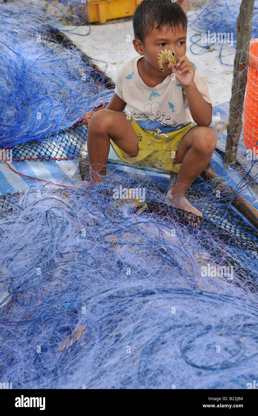 boy helping out, cleaning nets of small crabs and fish ,pig island(koh ...