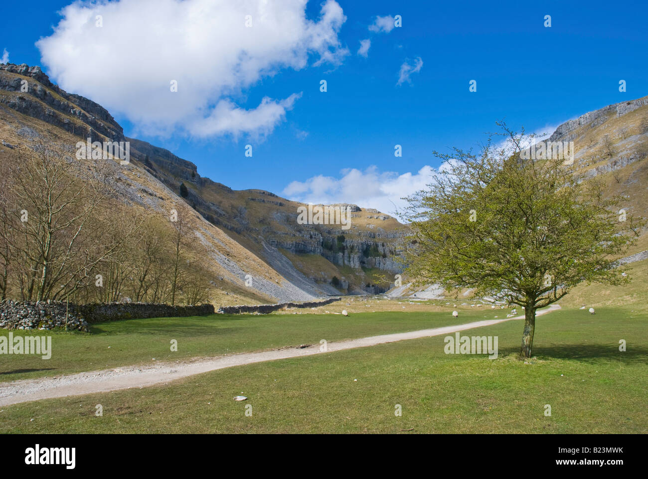 Gordale Scar, Yorkshire Dales Stock Photo - Alamy