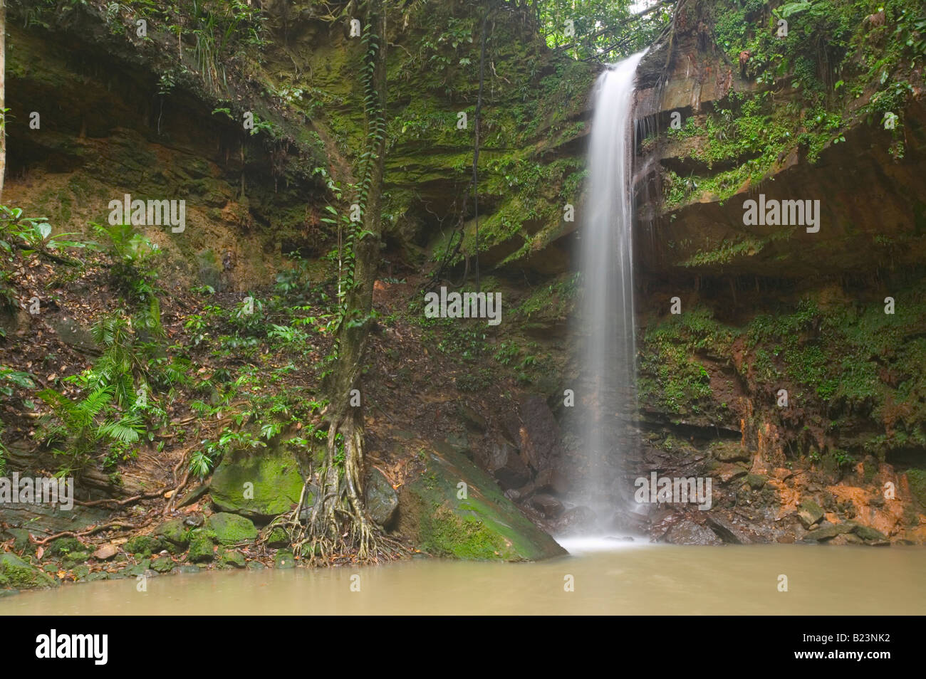 Pantu Falls Lambir Hills National Park near Miri Sarawak Malaysia Stock ...