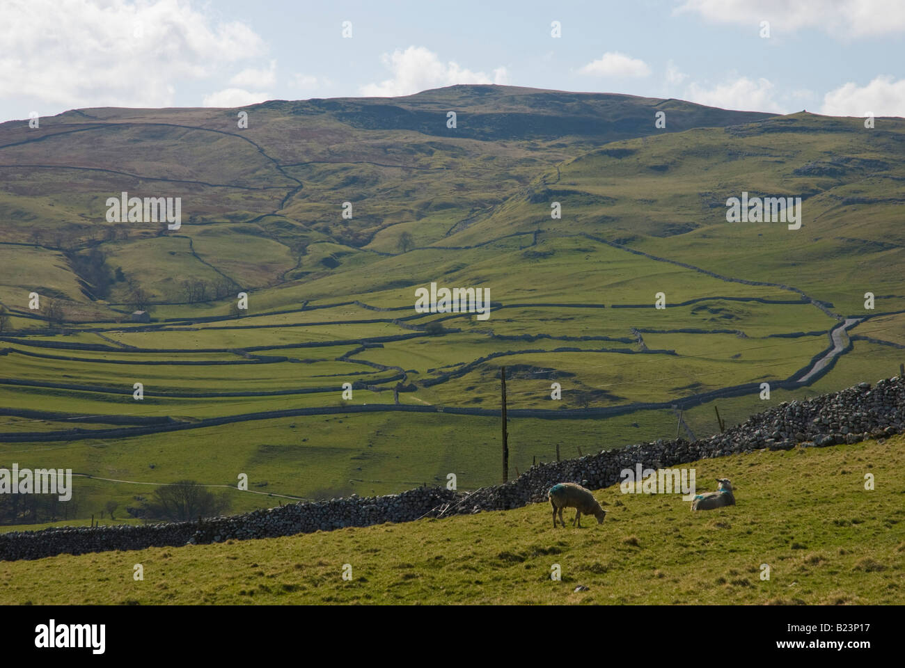 Towards malham cove hi-res stock photography and images - Alamy