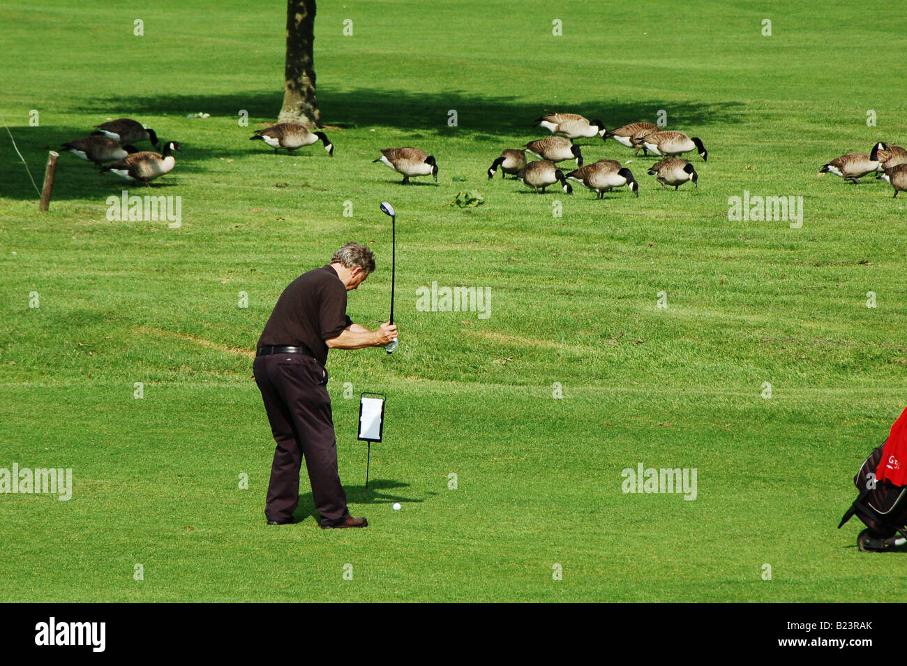 Golf in england hi-res stock photography and images - Alamy