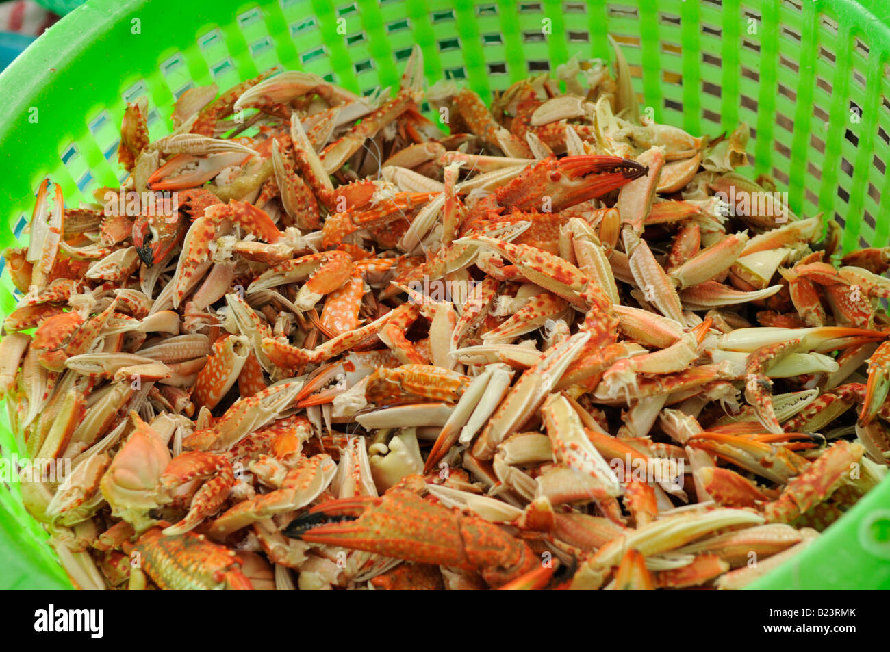 crab claws, pig island(koh sukorn) , trang province , thailand Stock ...