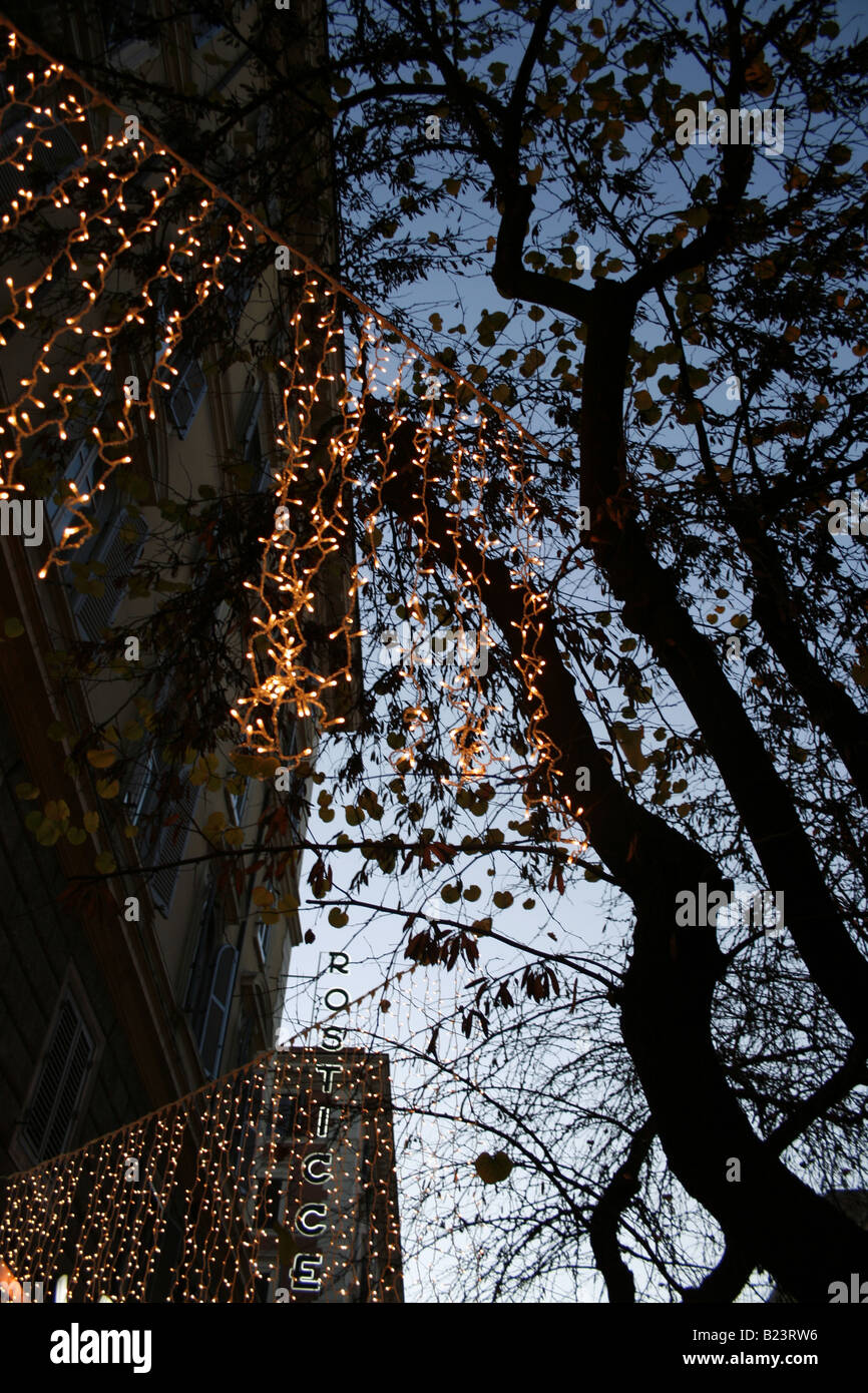 tree covered with bright fairy lights at night Stock Photo - Alamy