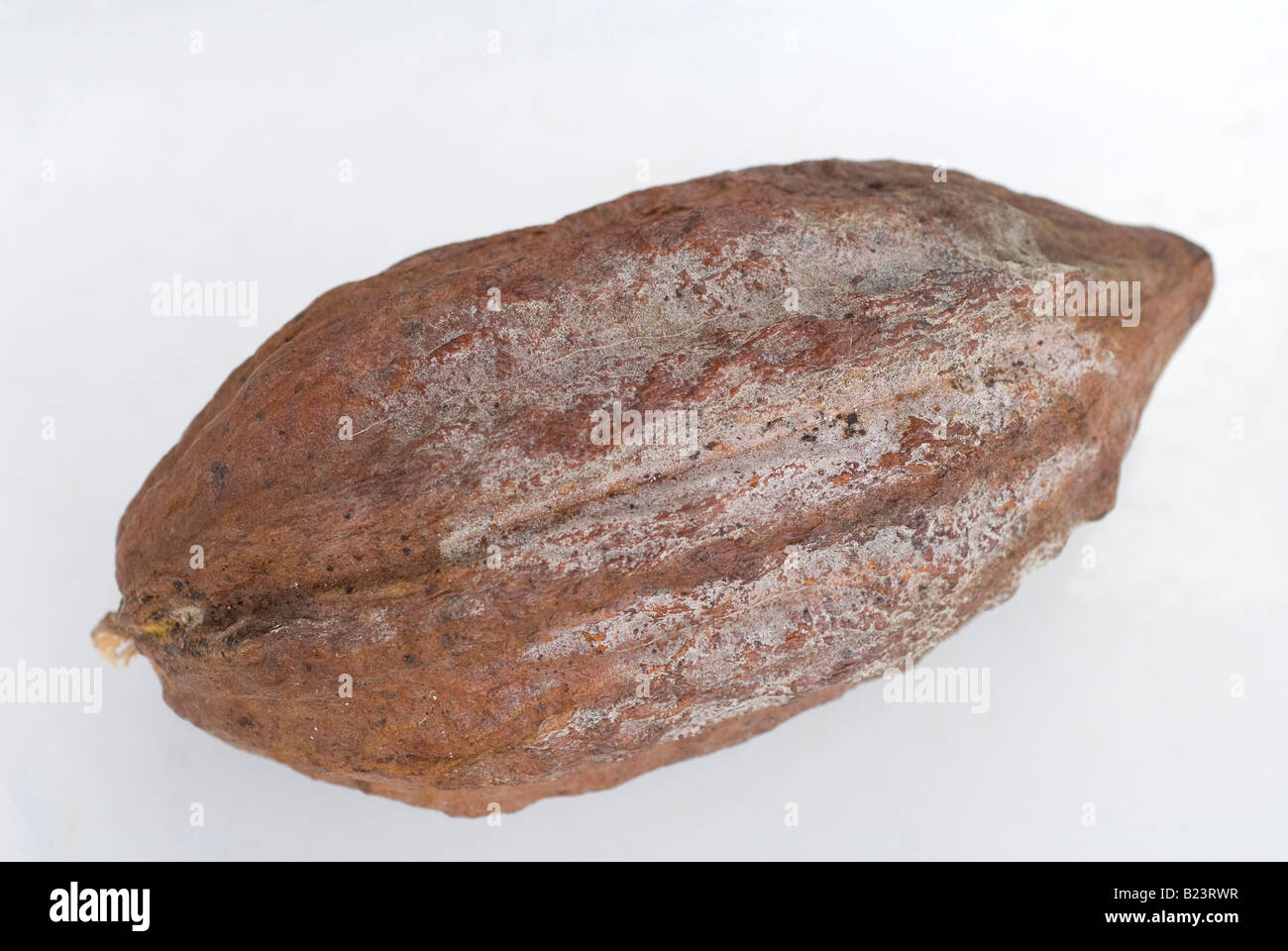 Cacao Beans Inside High Resolution Stock Photography and Images - Alamy