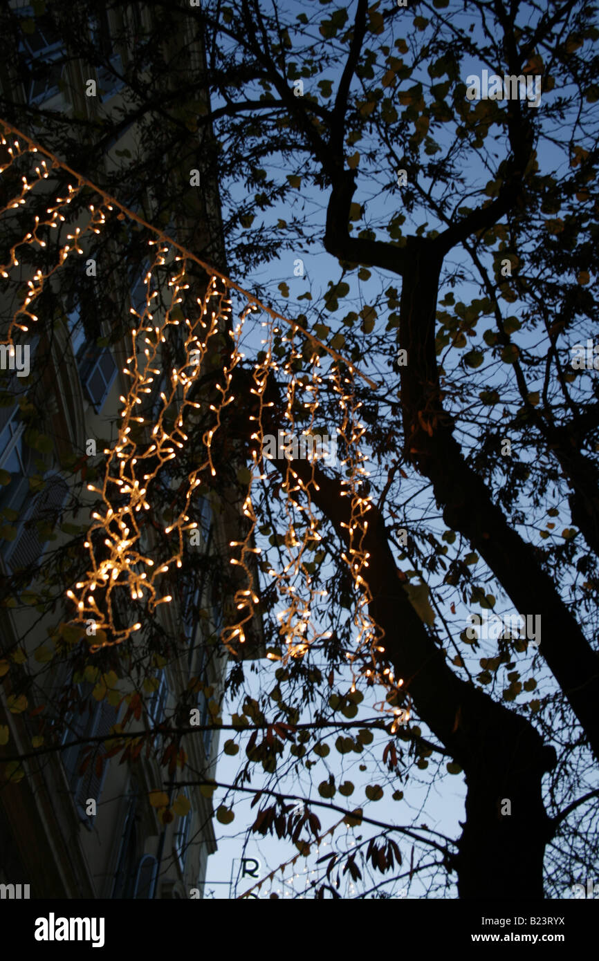 tree covered with bright fairy lights at night Stock Photo - Alamy