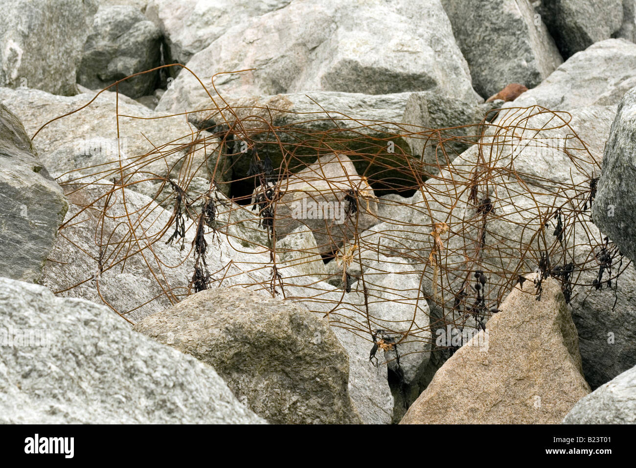 Rusty wire on rocks Stock Photo - Alamy