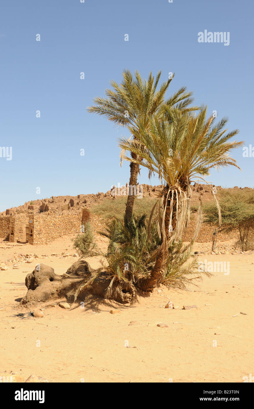 The ruins of the world heritage sight of Ouadane Western Africa ...