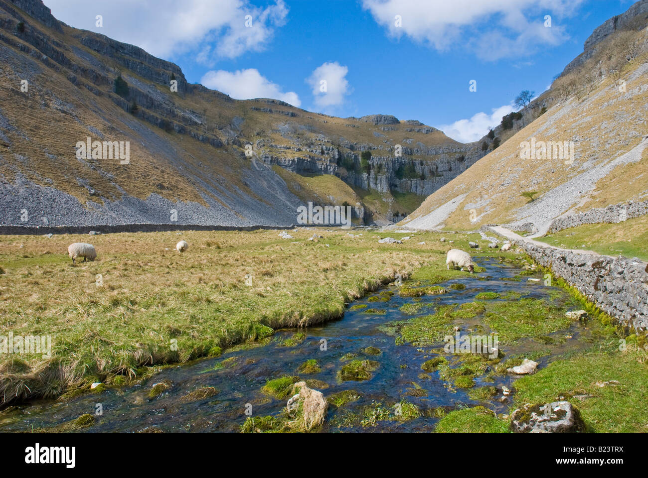 Gordale Scar, Yorkshire Dales Stock Photo - Alamy