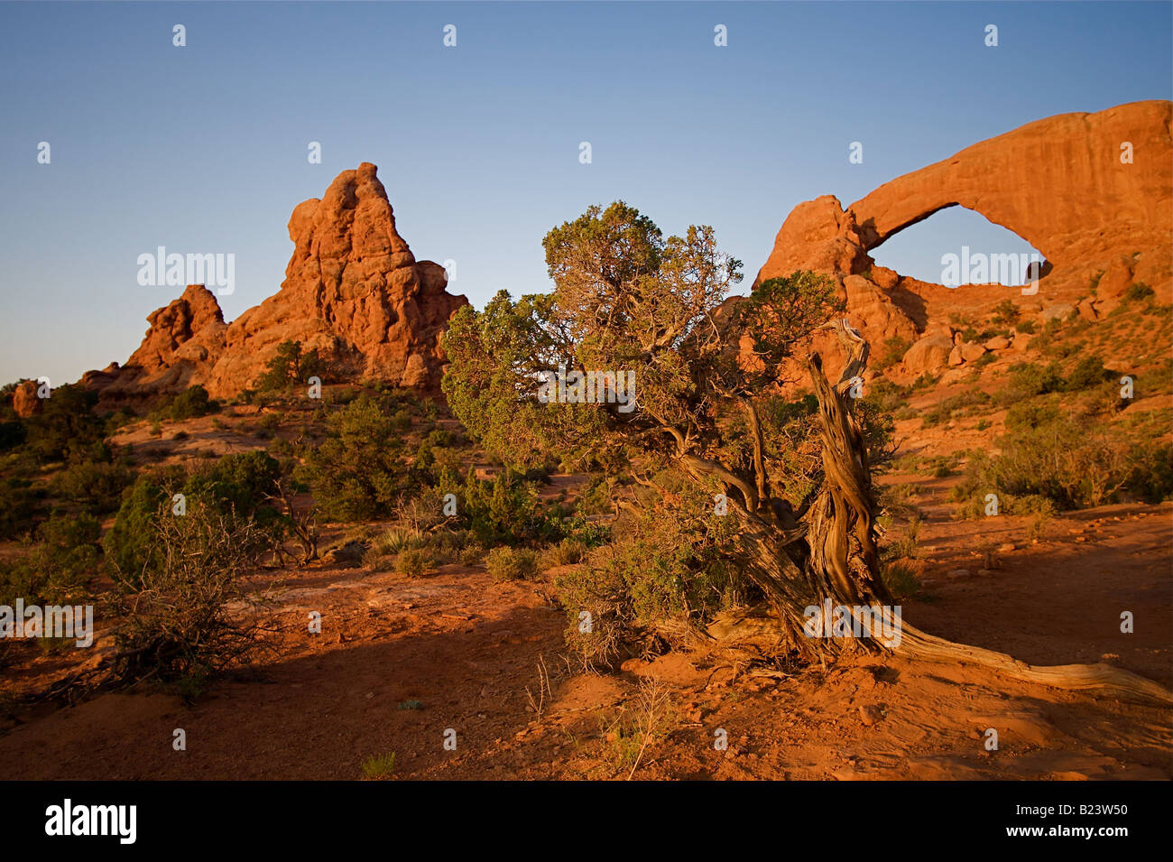 Natural red rock arches at Arches National Park in Utah USA Stock Photo ...