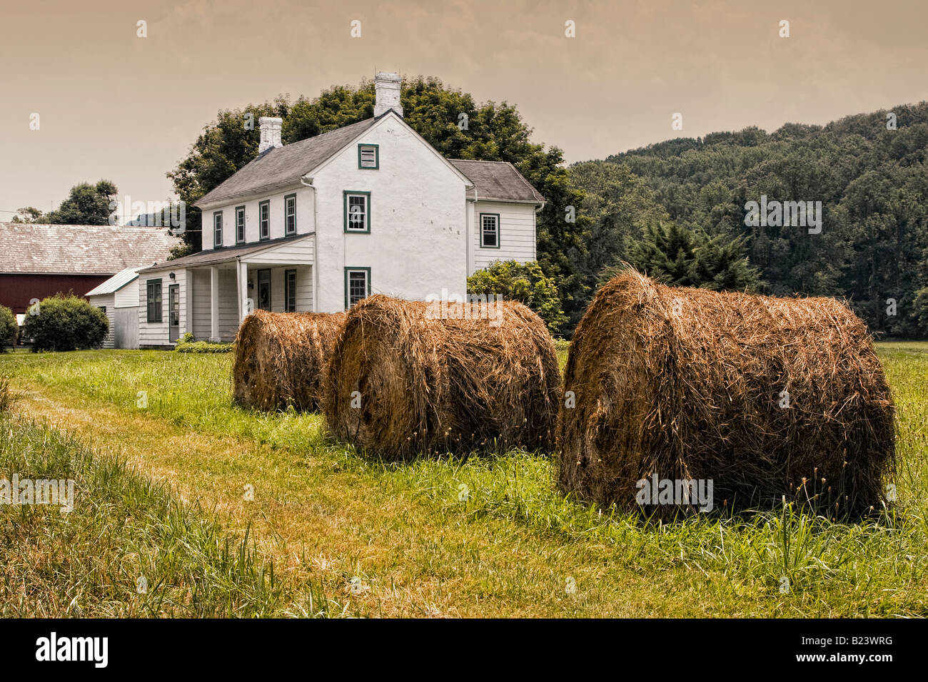 Charming white rural farmhouse in hay field Stock Photo - Alamy