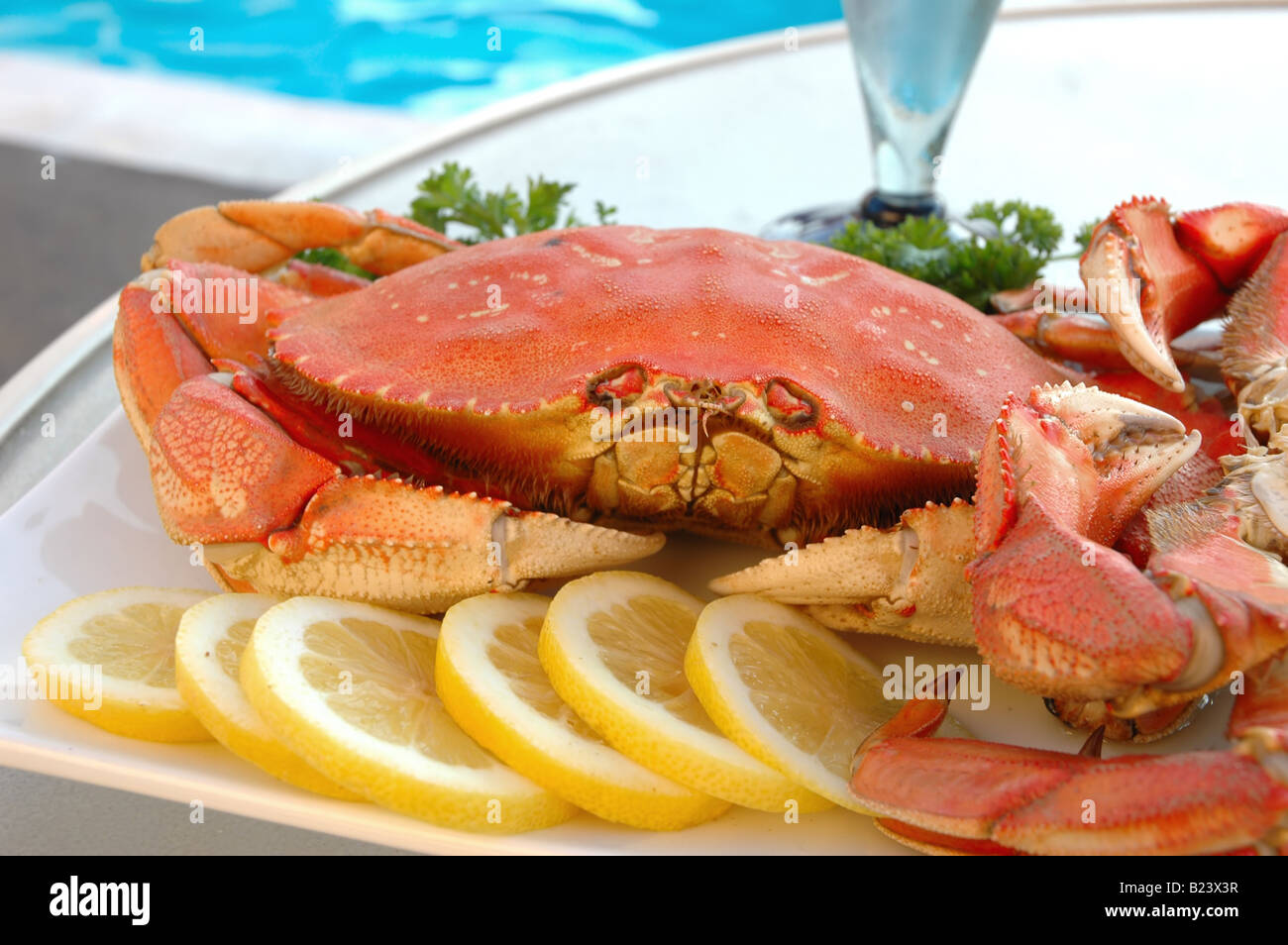Platter of crab on a table at poolside Stock Photo - Alamy