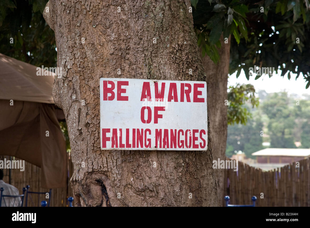 Sign to be aware of falling mangoes, Kampala, Uganda Stock Photo - Alamy