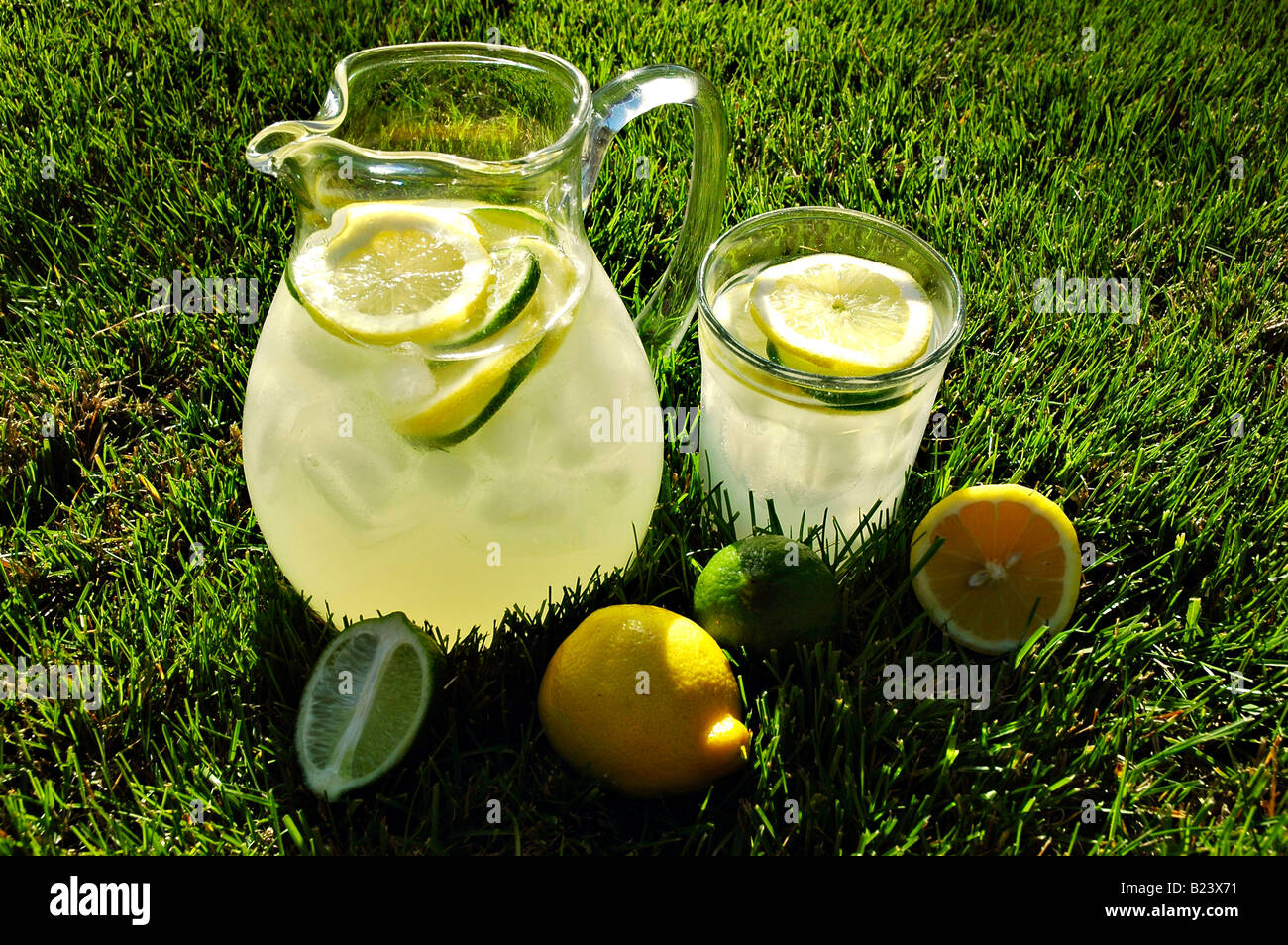Pitcher and glass of ice cold lemonade on grass lit by afternoon ...