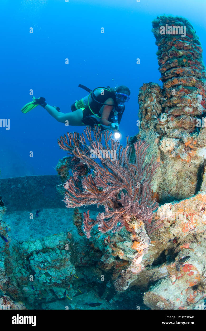 Scuba diver on shipwreck, Key Largo Stock Photo - Alamy