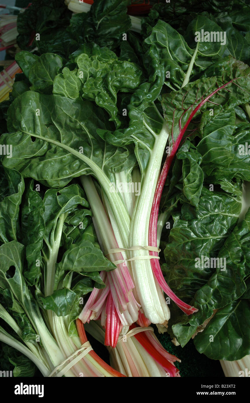 Bunches of chard hi-res stock photography and images - Alamy