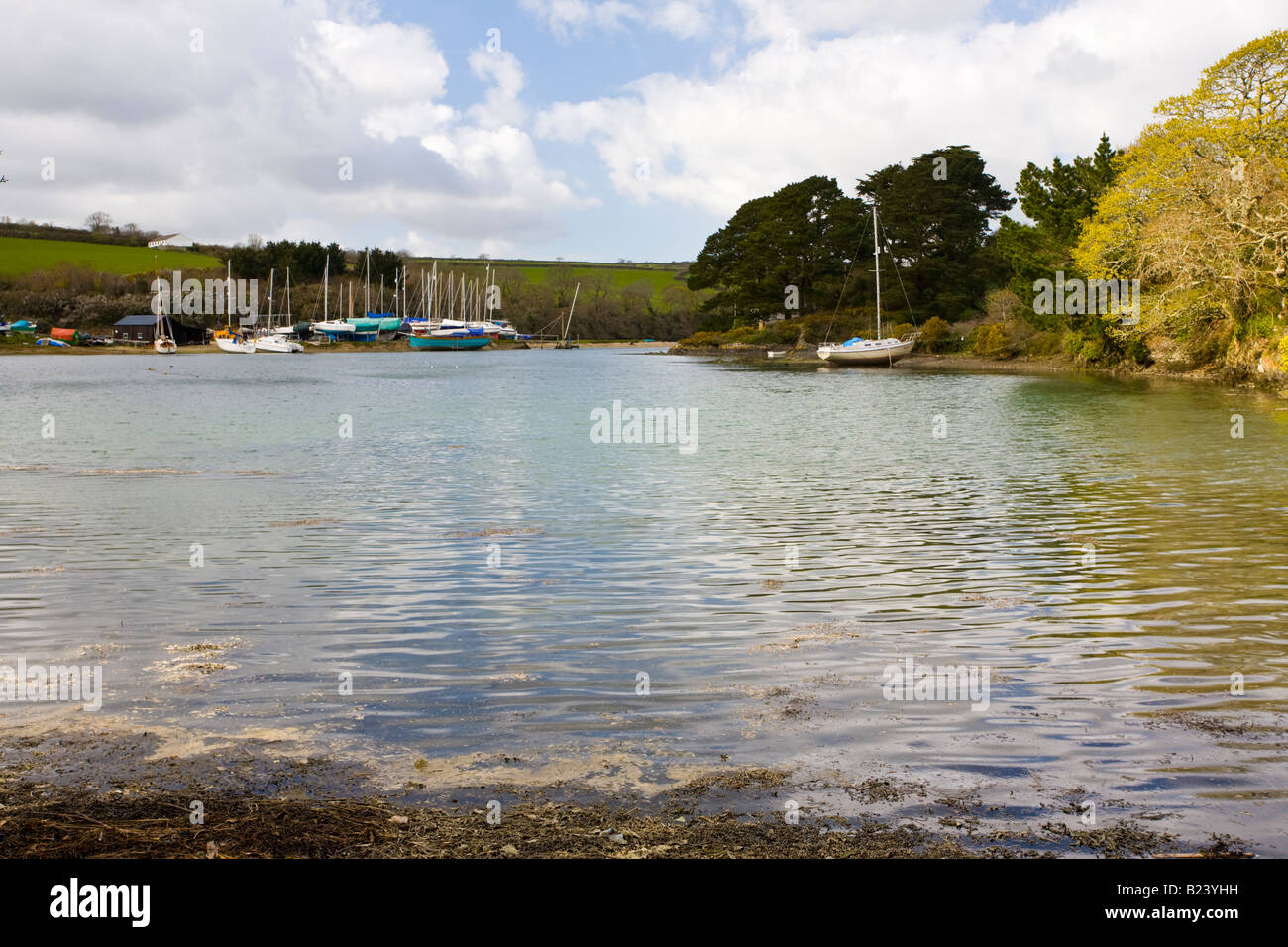 Tidal creek of the Percuil River at St Just In Roseland Stock Photo - Alamy