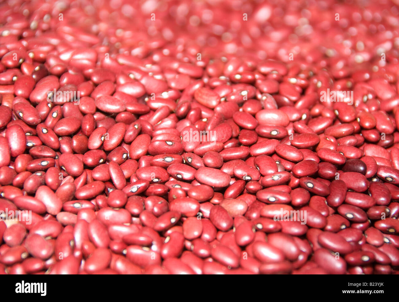 Cuban market beans Stock Photo - Alamy