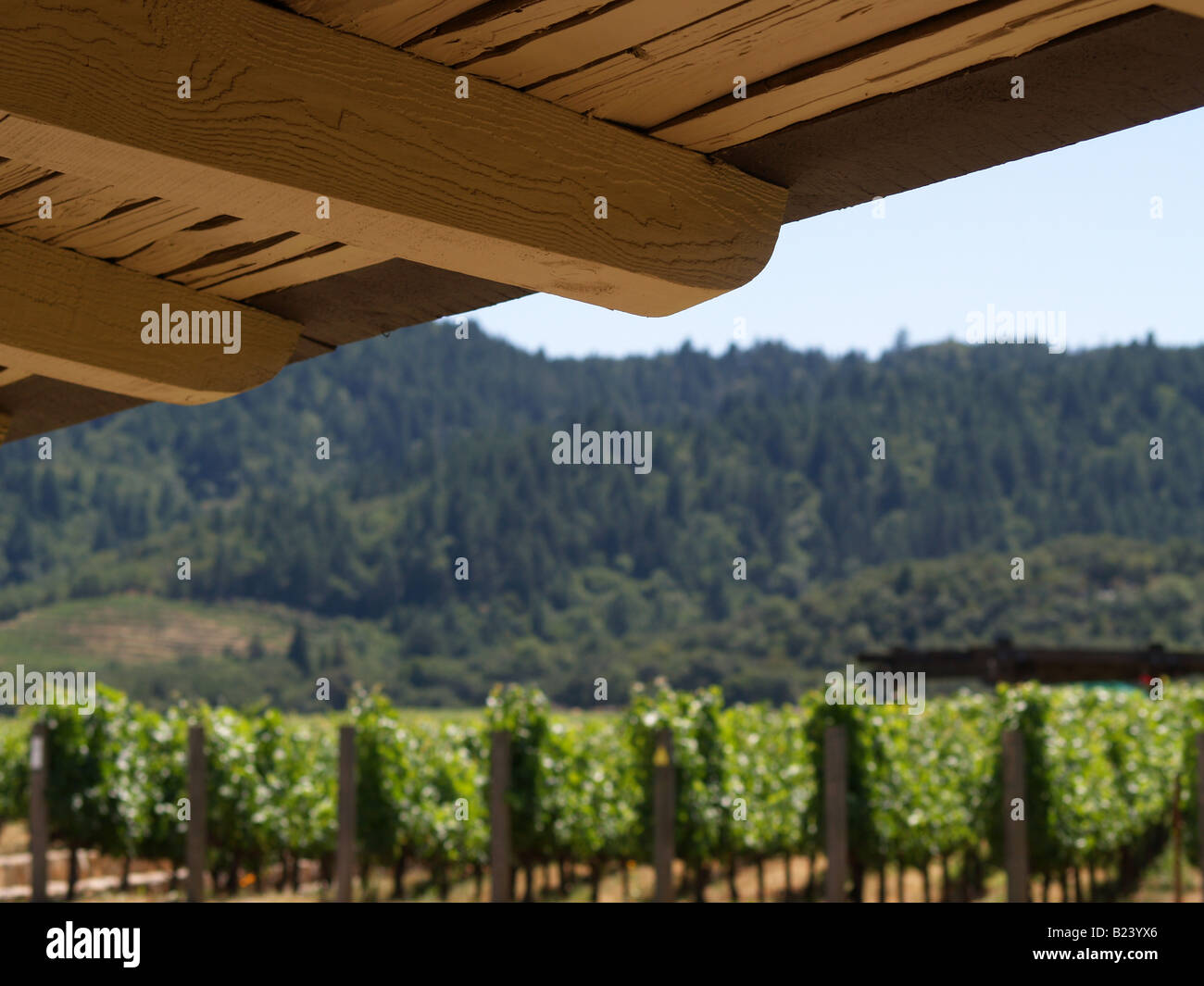 View of vineyard from a shaded overhang in California's Napa Valley ...