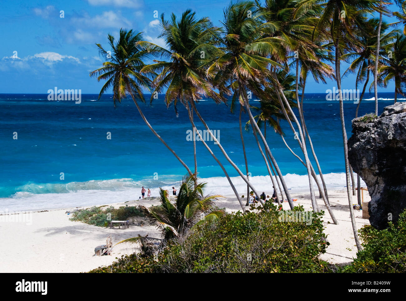 A view of the palm fringed beach at Bottom Bay on the Southeast coast ...
