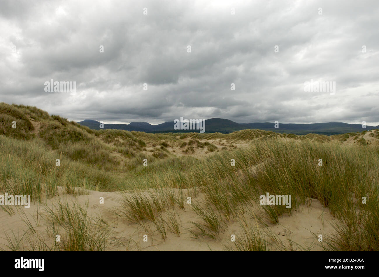 Sand dunes and the Snowdonia National Park at Shell Island, North Wales ...