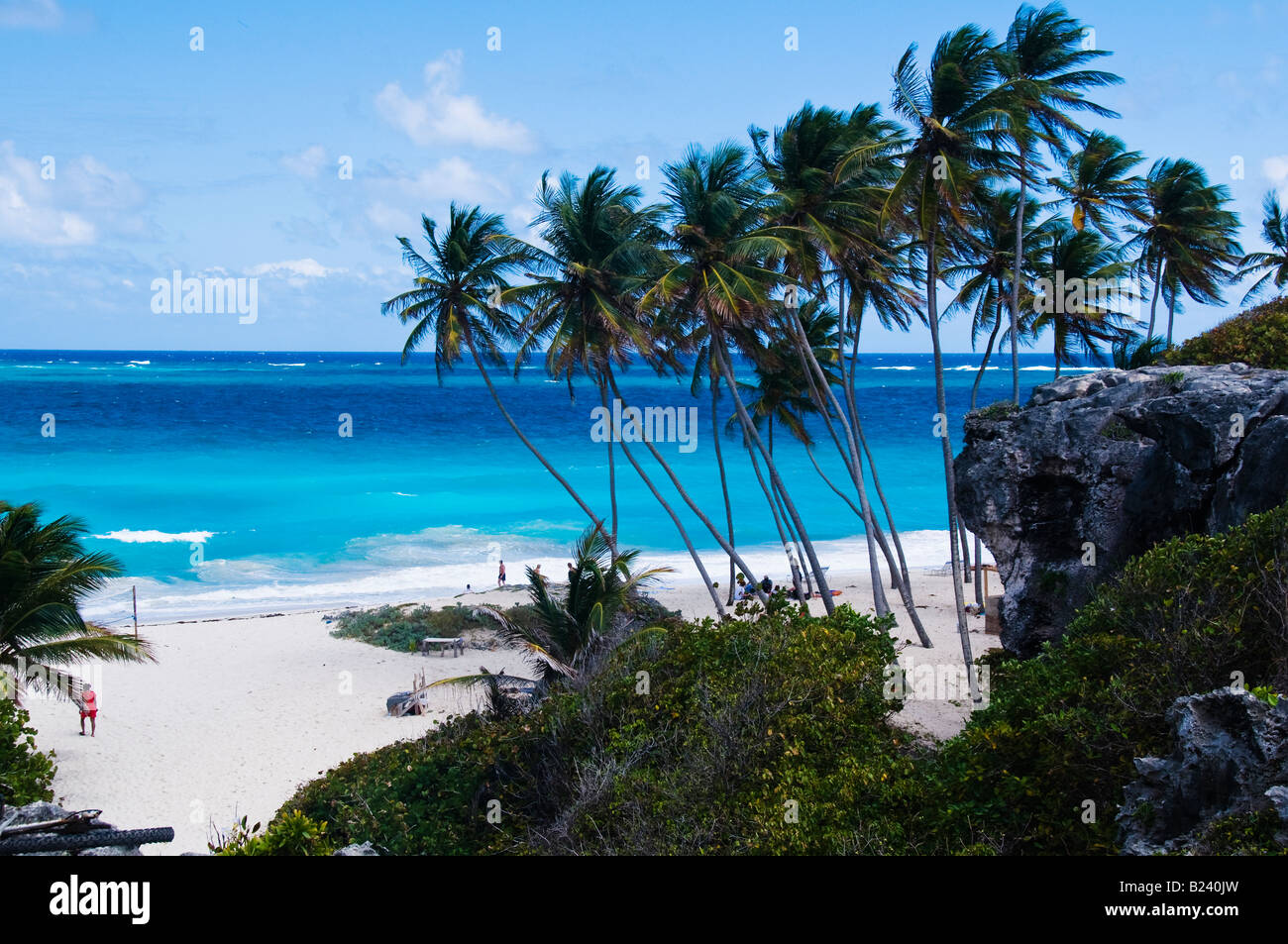 A view of the palm fringed beach at Bottom Bay on the Southeast coast ...