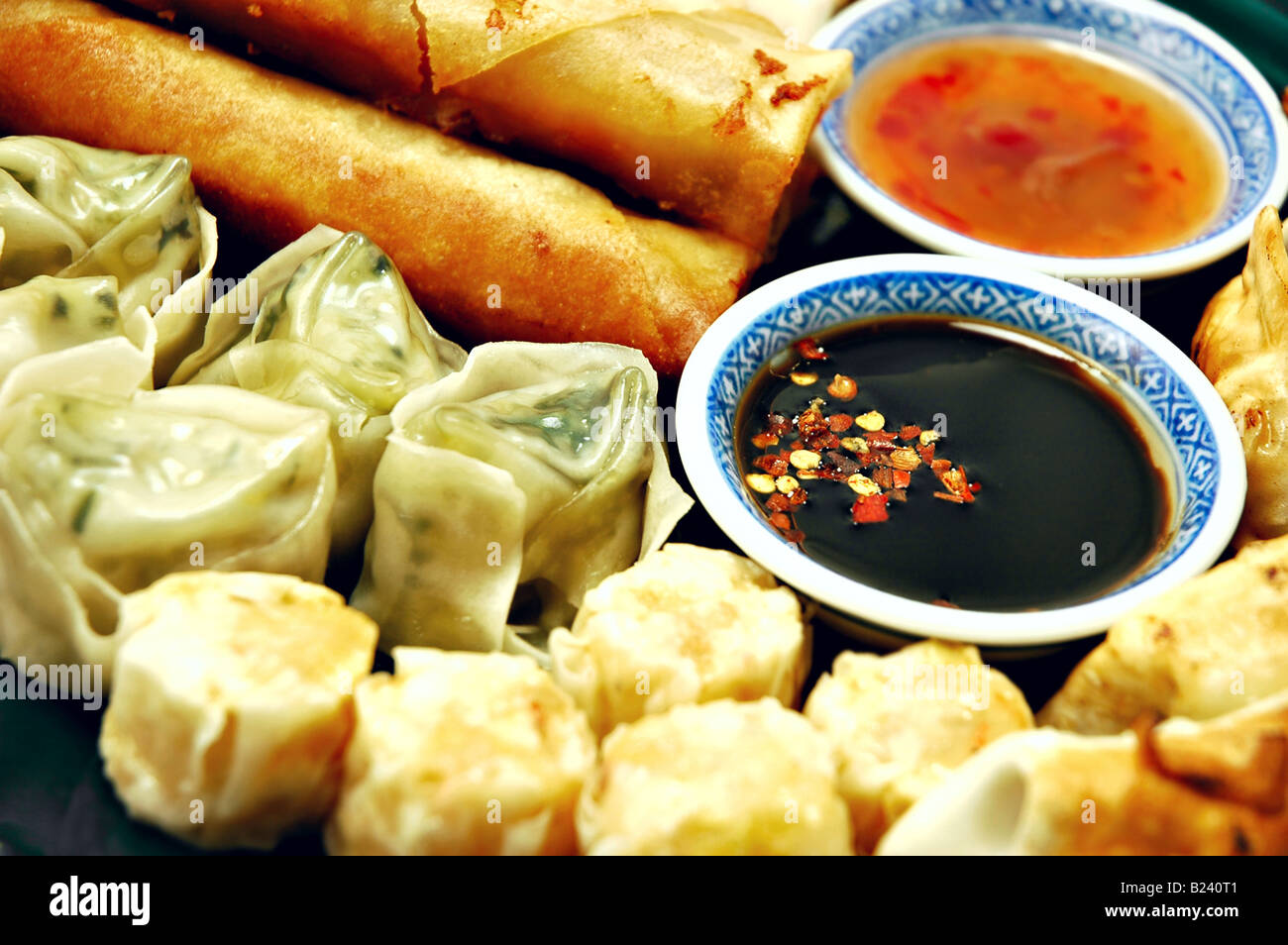 Plate of dim sum egg rolls shumai and pot stickers with dipping sauce ...