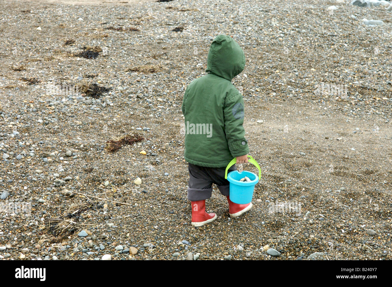 A young boy on the beach collecting seashells Stock Photo - Alamy