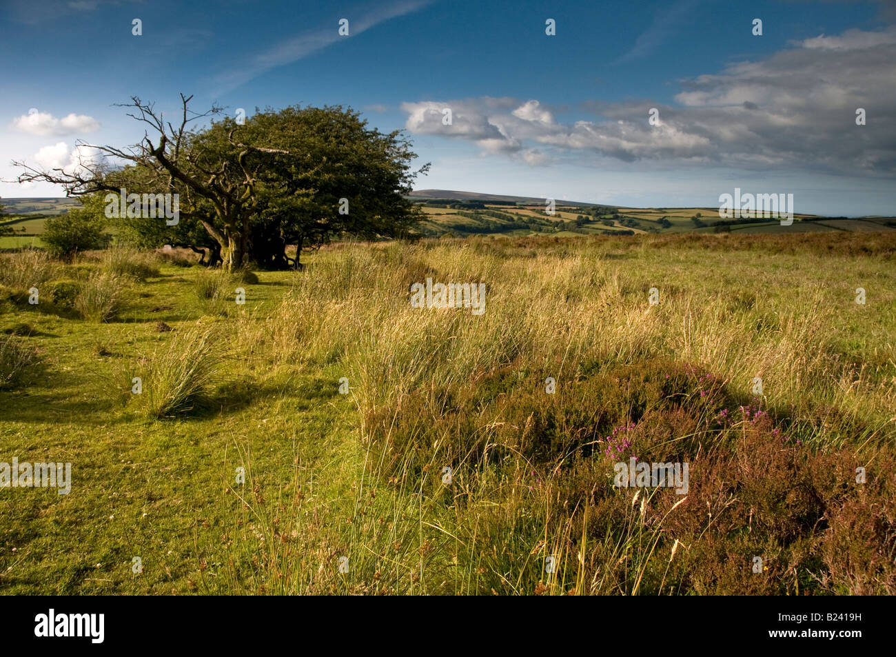 National park somerse hi-res stock photography and images - Alamy