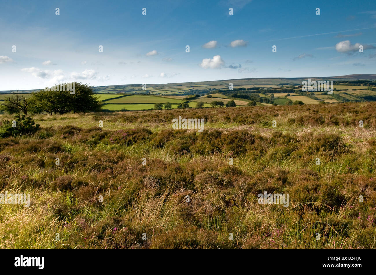 Exmoor National Park. Withypool. Somerset. England Stock Photo - Alamy