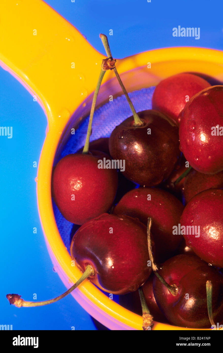 CHERRIES IN A STRAINER RINSING FRUIT Stock Photo - Alamy