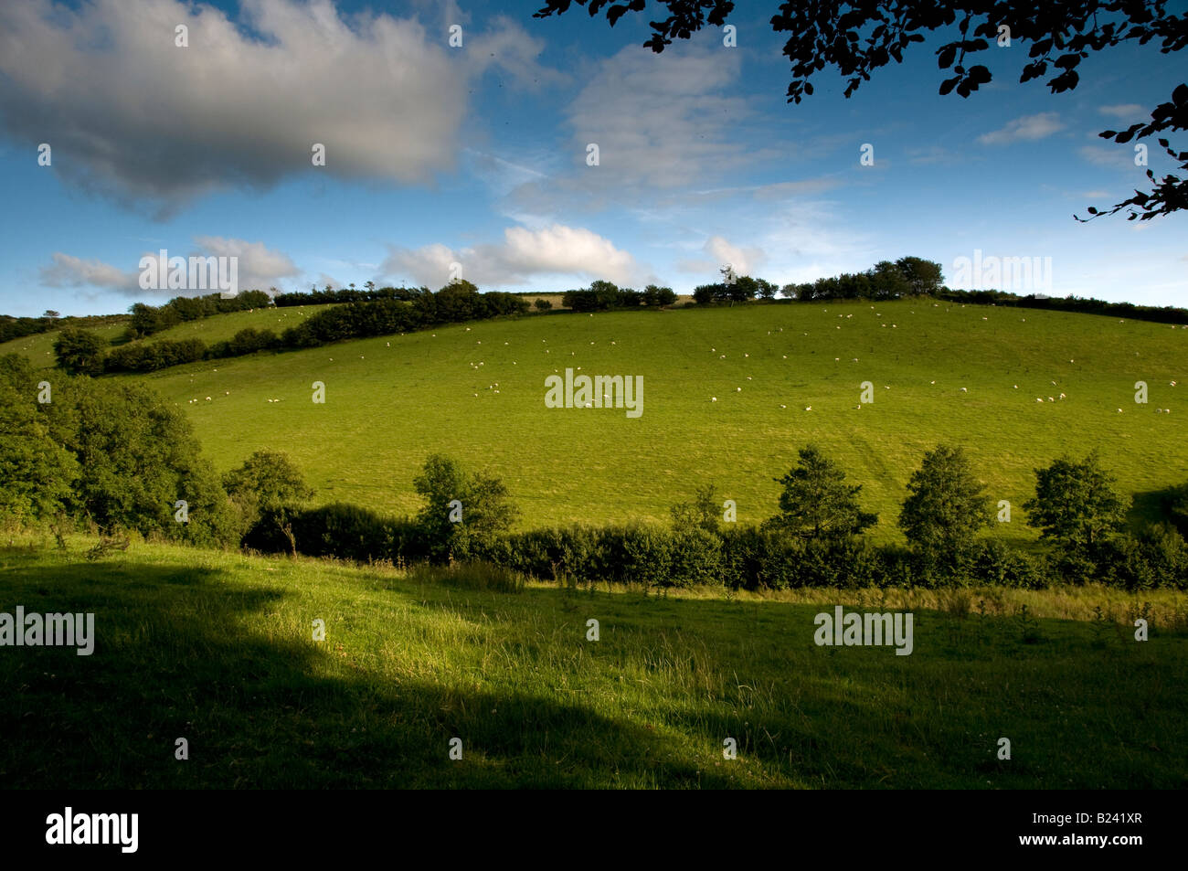 Challacombe exmoor hi-res stock photography and images - Alamy
