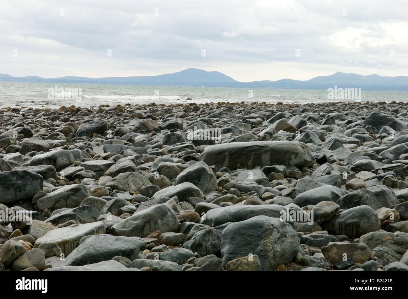 Stones and rocks on the beach at Shell Island, North Wales Stock Photo ...