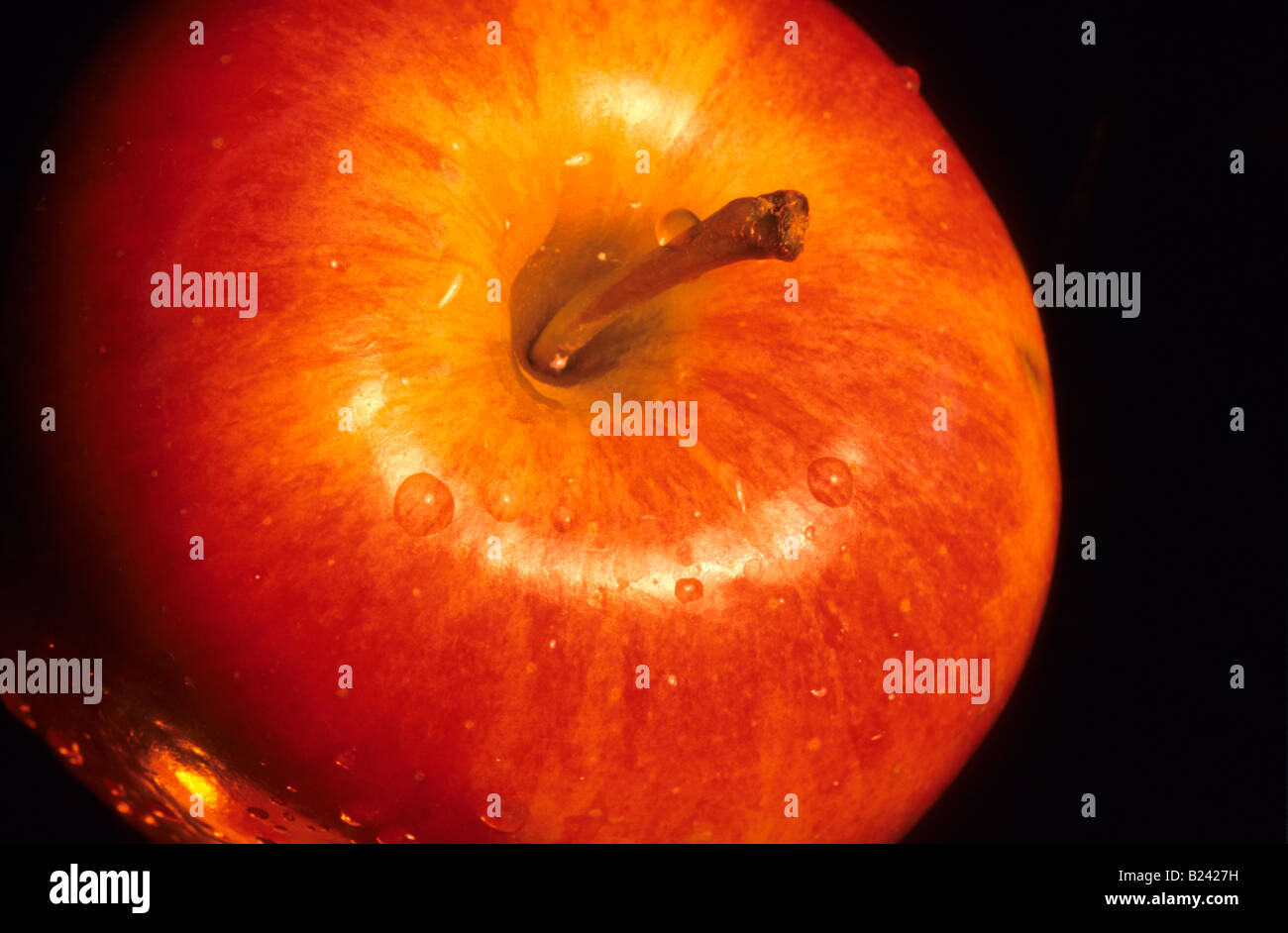 The apple is the pomaceous fruit of the apple tree, species Malus ...