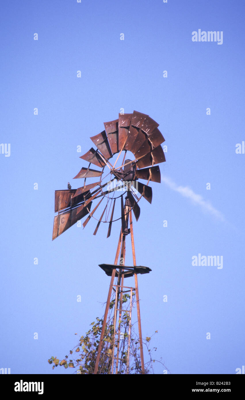 Windmill on a farm Stock Photo - Alamy