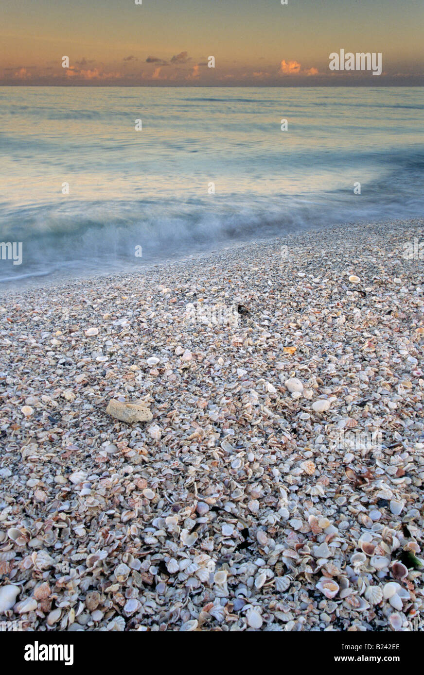 Seashells on beach sunrise Bowmans Beach County Park Sanibel Island ...