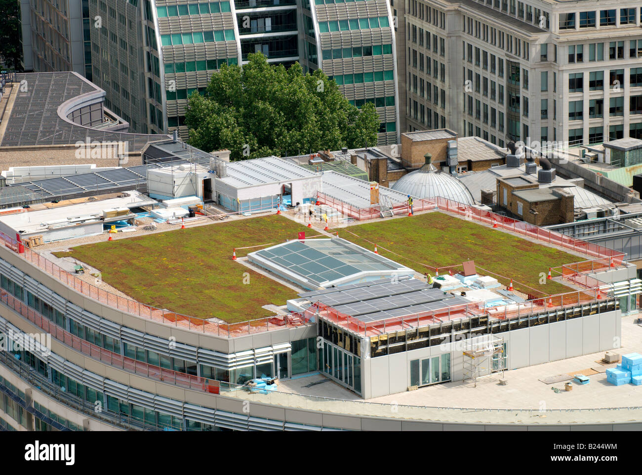 Construction of a green roof on the top of a office building in London ...