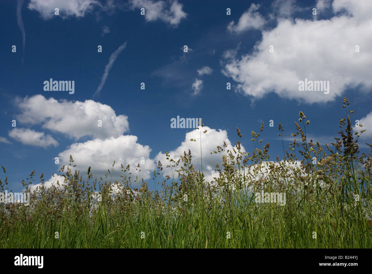 Brixworth northamptonshire hi-res stock photography and images - Alamy