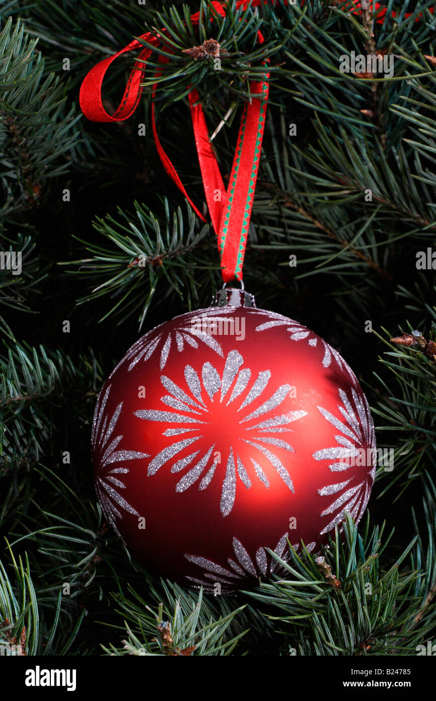 Christmas red ornament ball front view sphere hanging on the tree ...