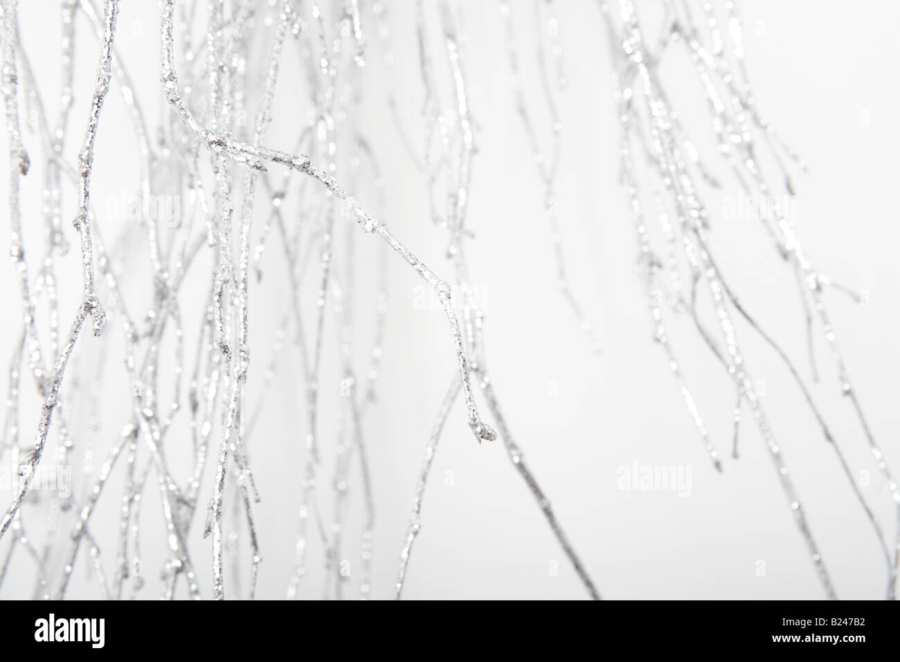 Twigs hi-res stock photography and images - Alamy