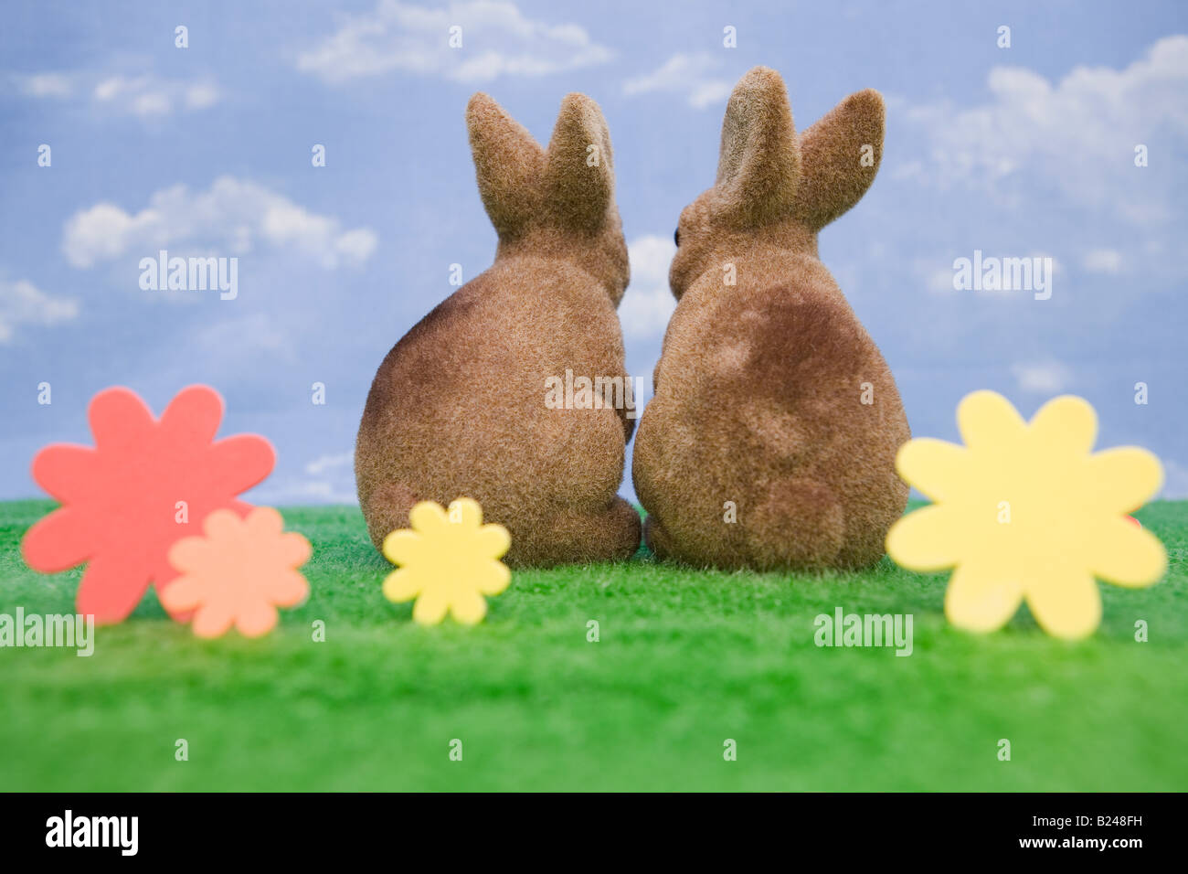 Rear view of two rabbits Stock Photo - Alamy
