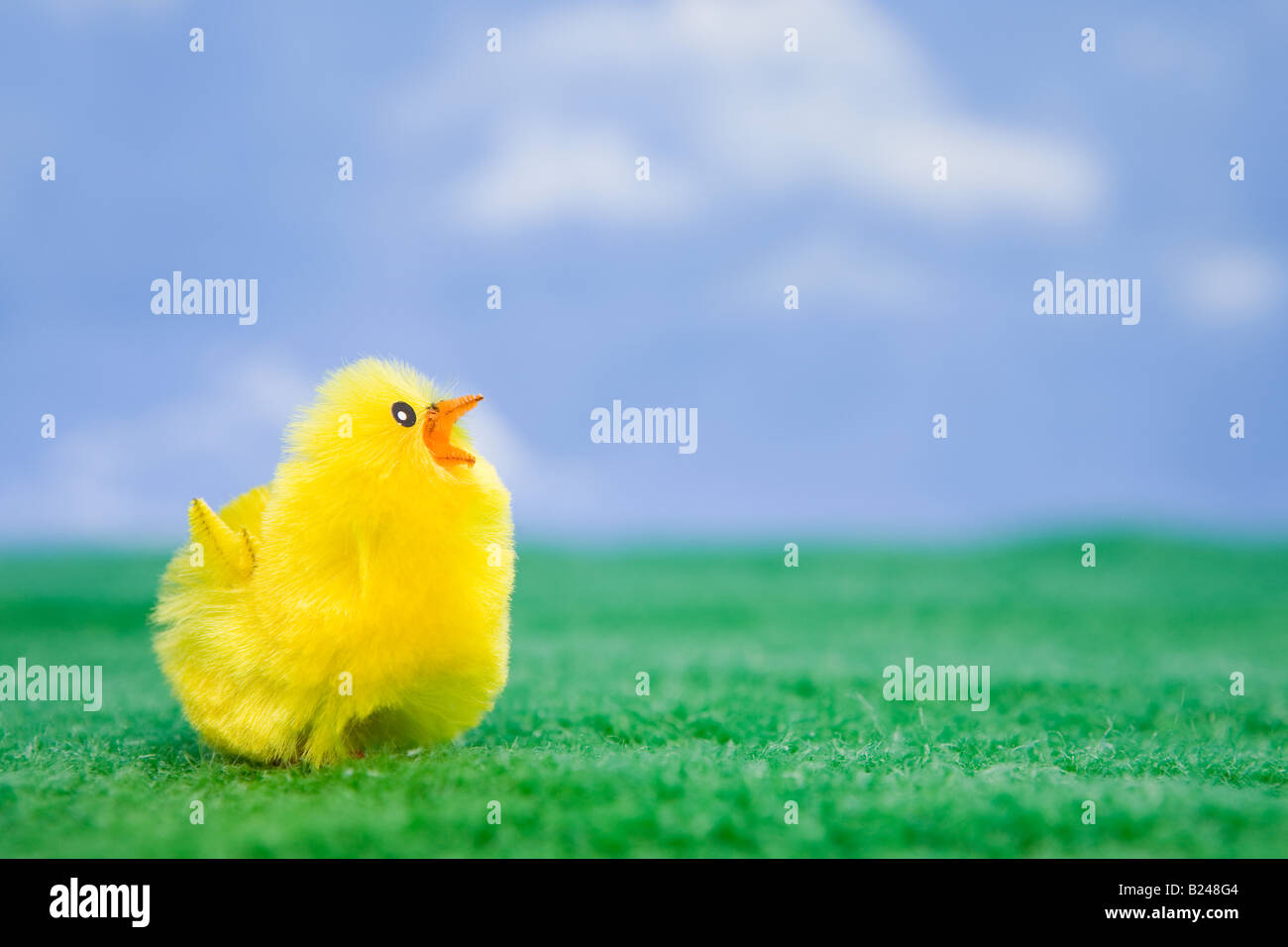 Fake chick hi-res stock photography and images - Alamy