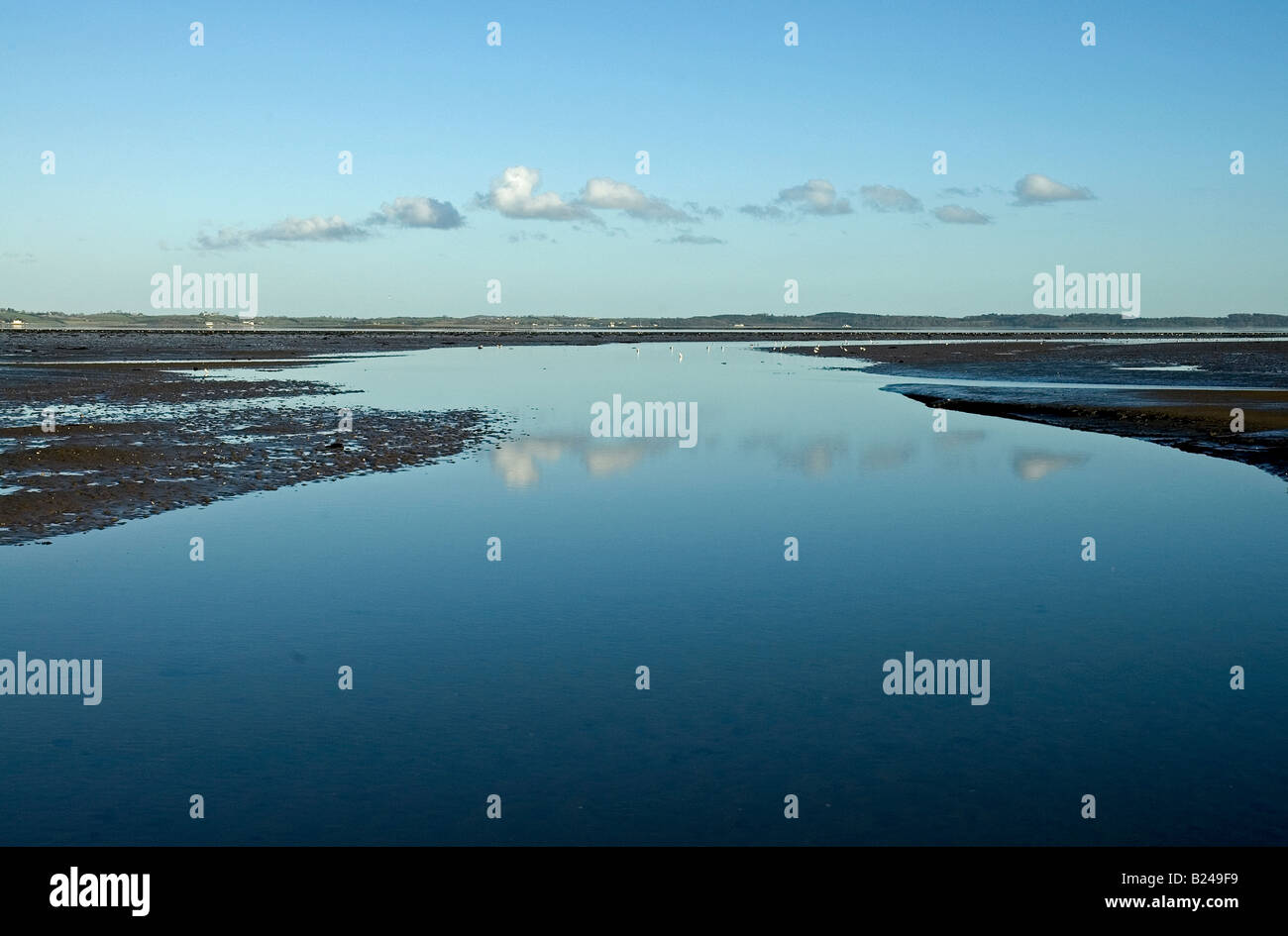 Comber River flowing through the mud flats of Strangford Lough Northern ...