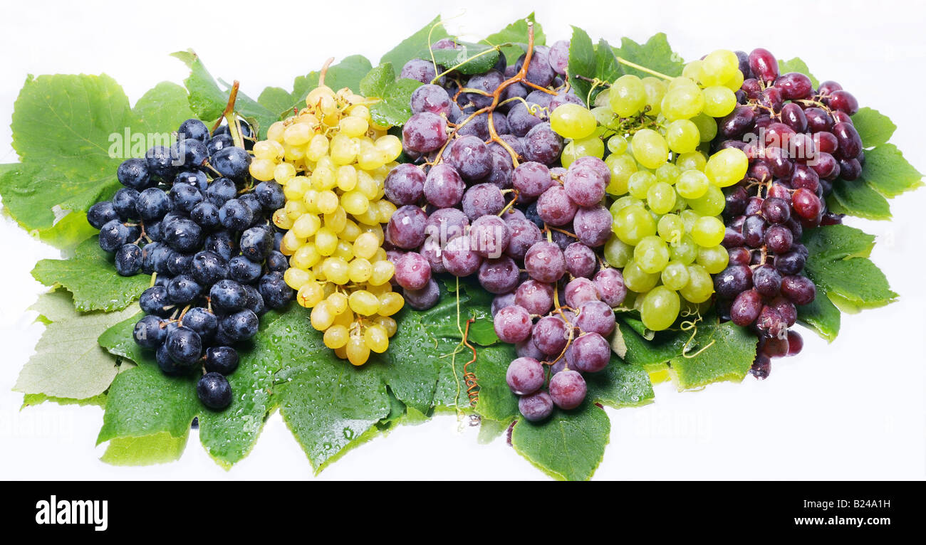 Glean hi-res stock photography and images - Alamy