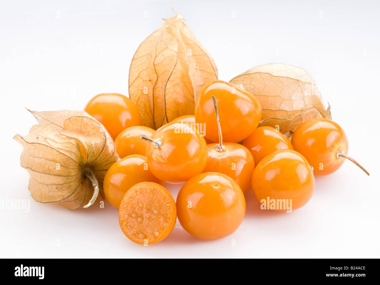 Physalis hi-res stock photography and images - Alamy