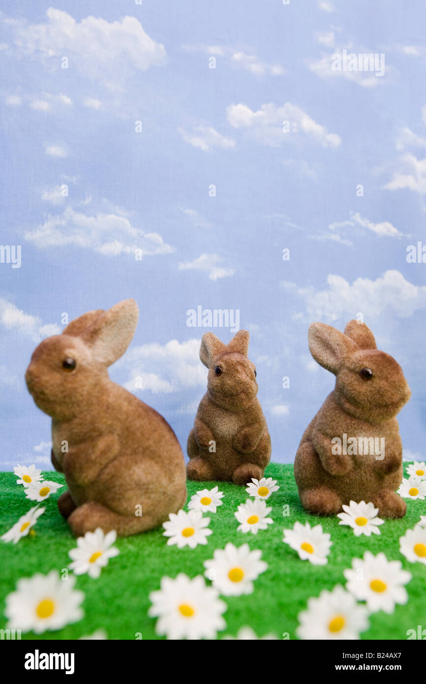 Shot Rabbits High Resolution Stock Photography and Images - Alamy