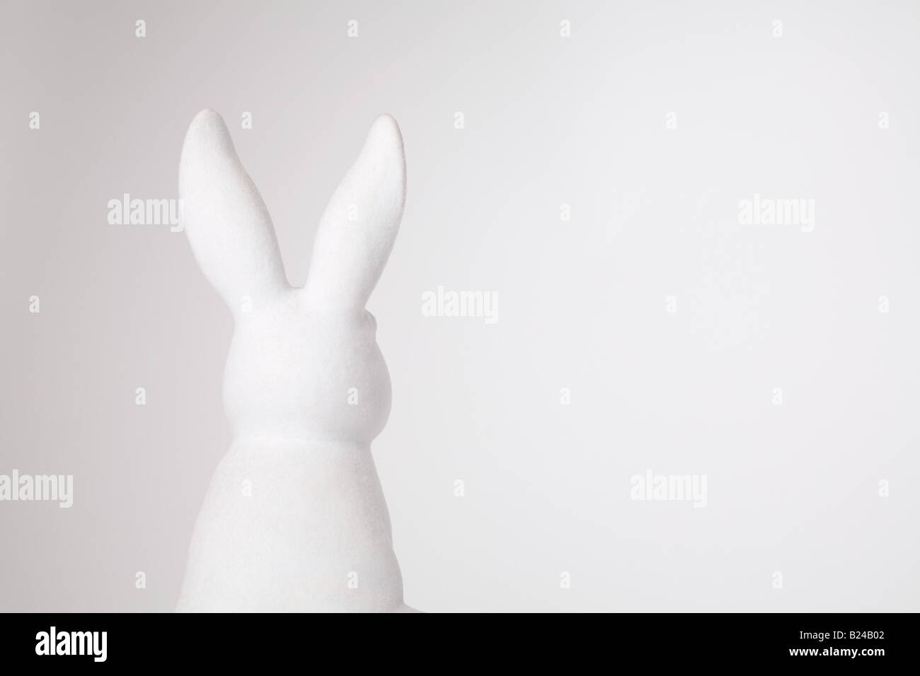 Rear view of a white rabbit Stock Photo - Alamy