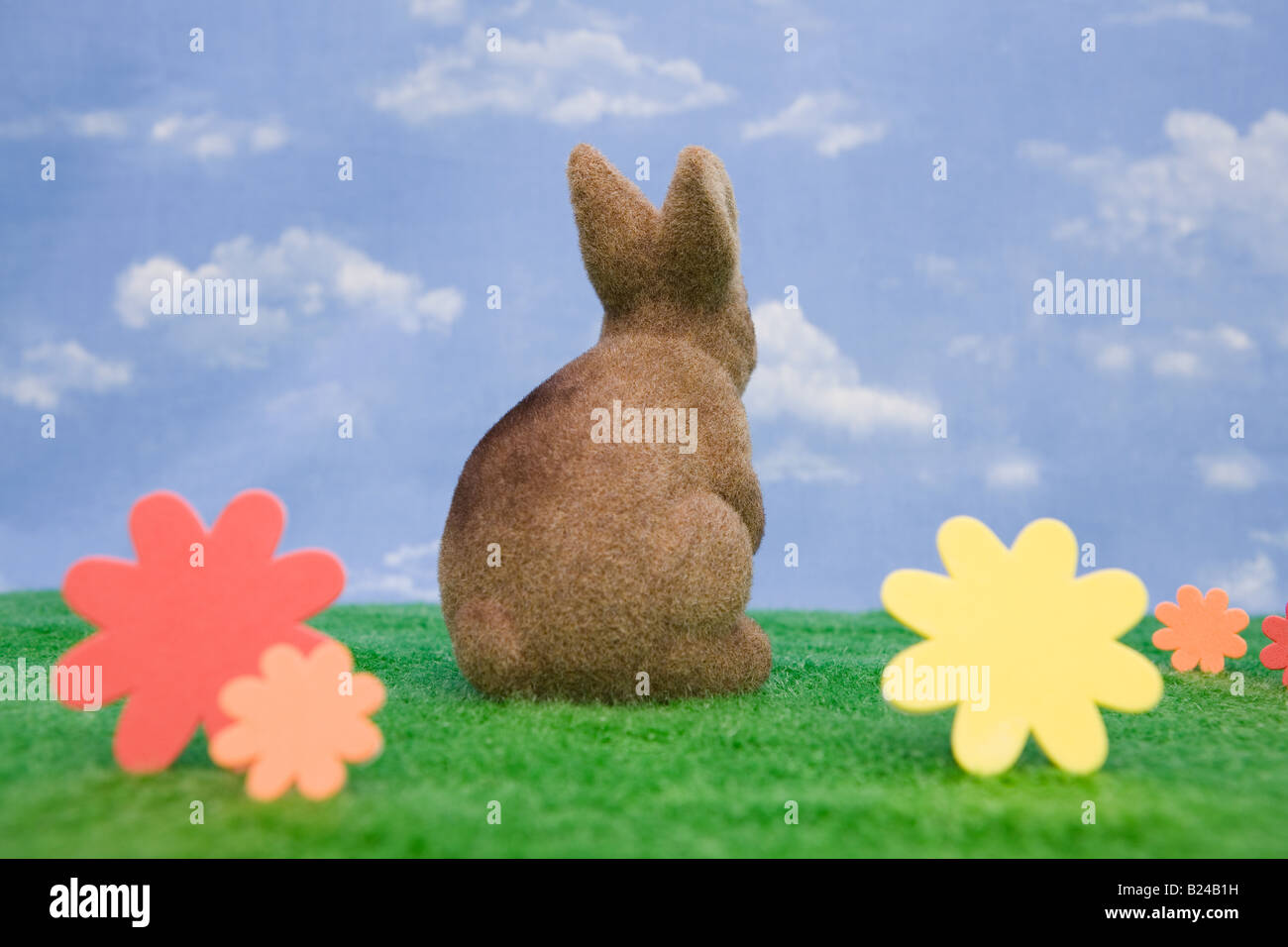 Rabbit rear view hi-res stock photography and images - Alamy