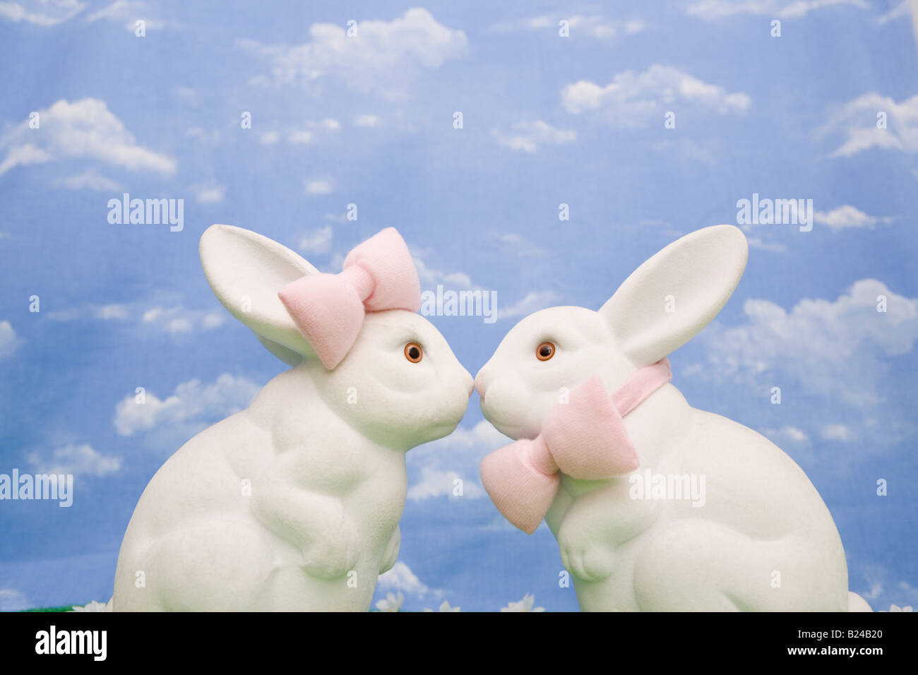 Rabbits tied hi-res stock photography and images - Alamy