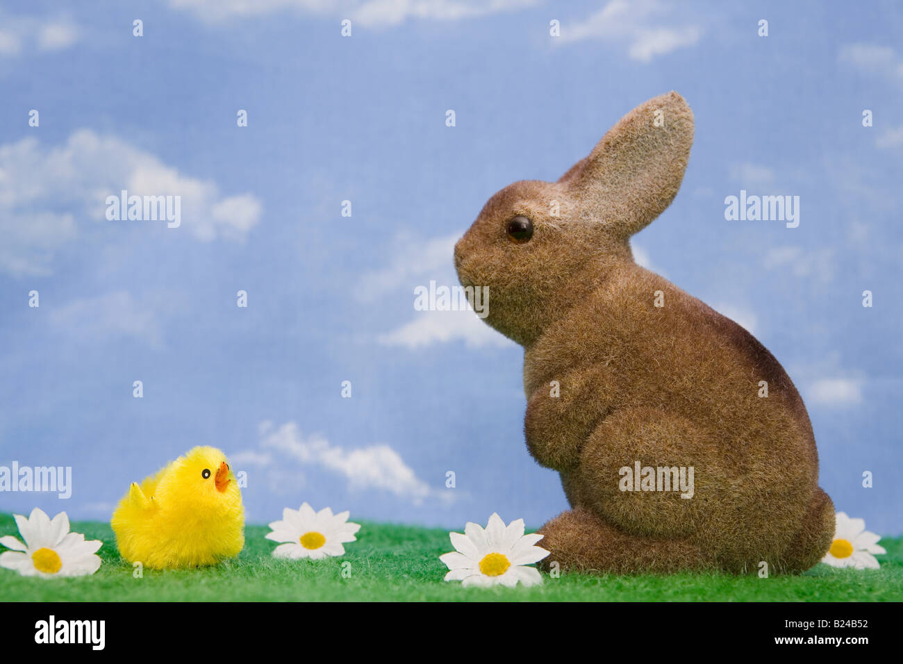 A rabbit and chick Stock Photo - Alamy